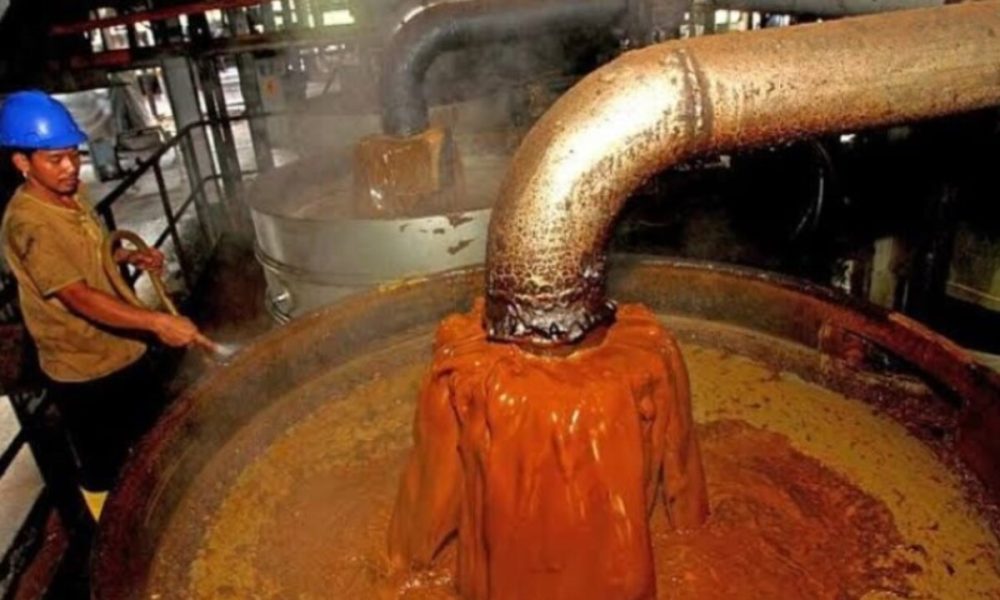 GAPKI Sebut Produksi CPO dan PKO Naik - Jayakarta News